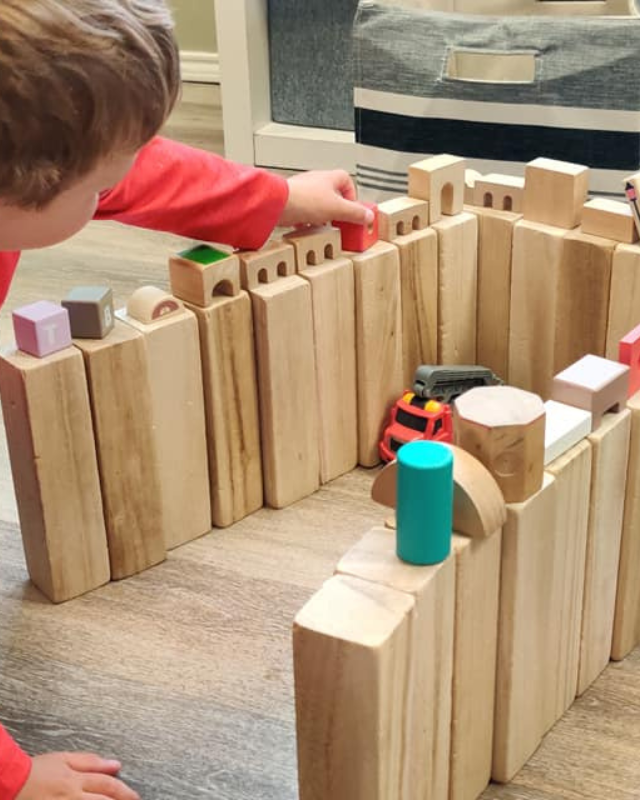 The Preschool Learning Environment