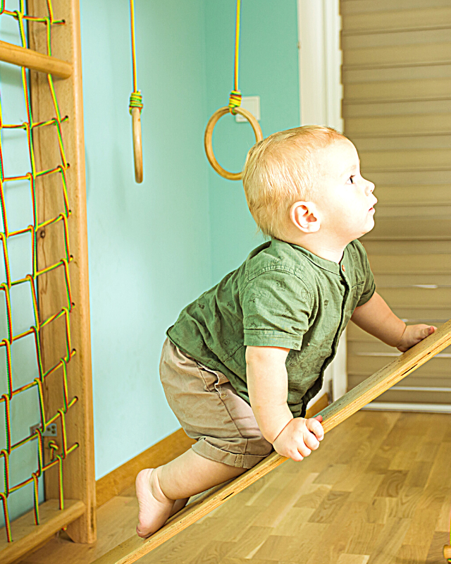 What is Physical Development?